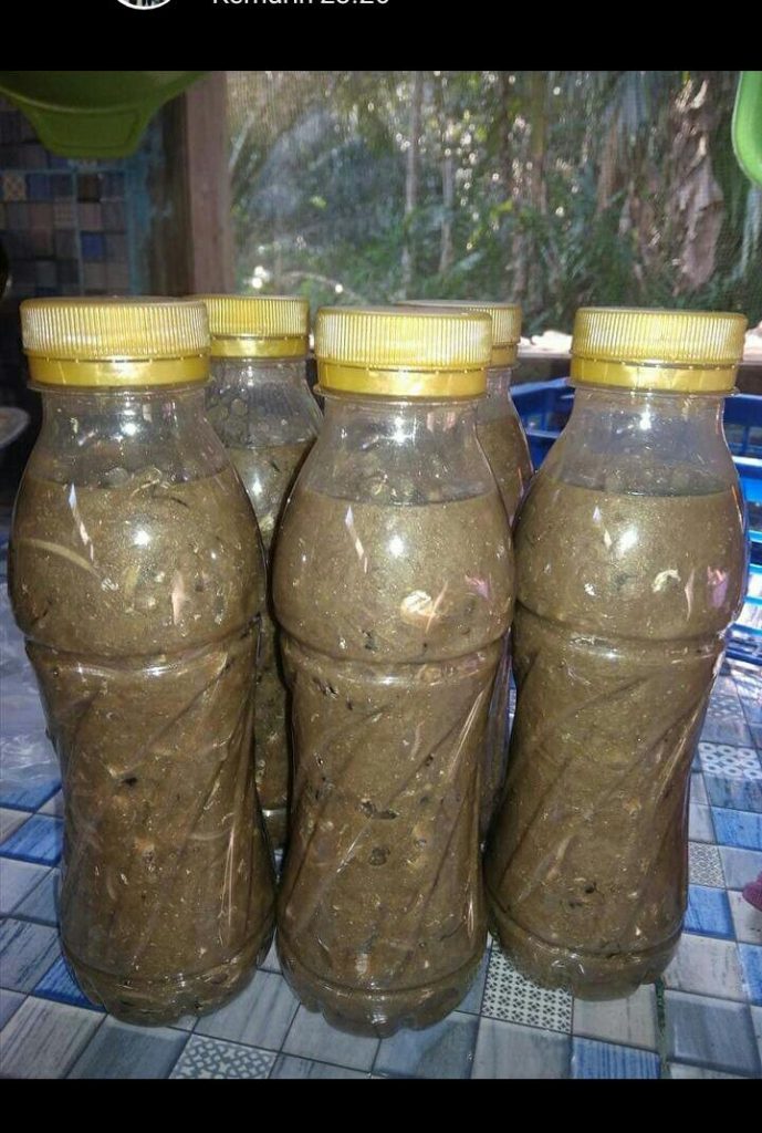 ‘Sambal Rusip’, Kuliner Tradisional Khas Bangka - Berita Daerah