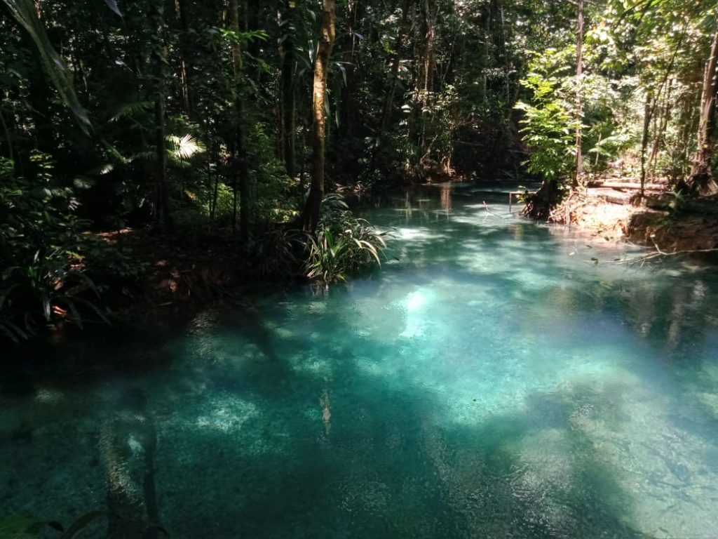 Kali Biru di Waigeo, Potret Totalitas Keindahan Raja Ampat - Berita Daerah