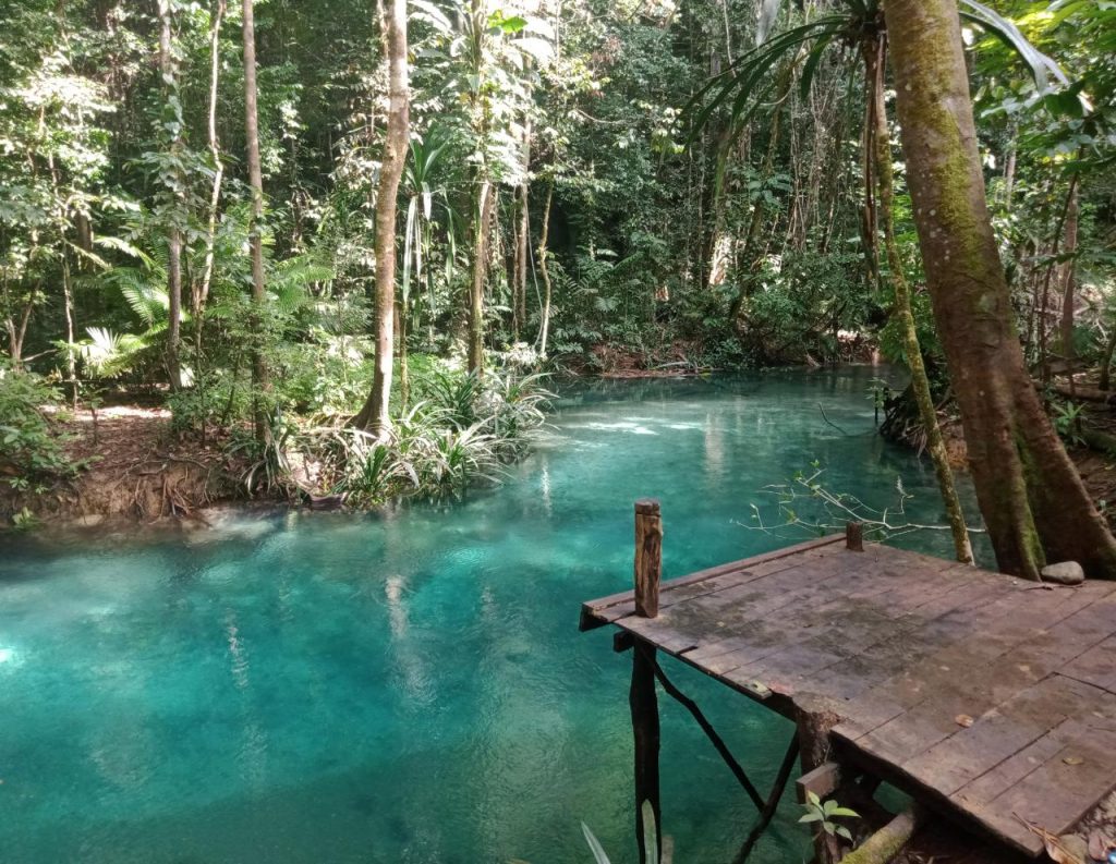 Kali Biru di Waigeo, Potret Totalitas Keindahan Raja Ampat - Berita Daerah