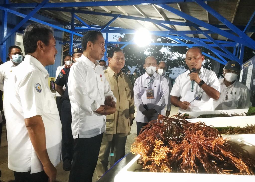 Rumput Laut Sebagai Komoditas Unggulan Ekspor - Berita Daerah