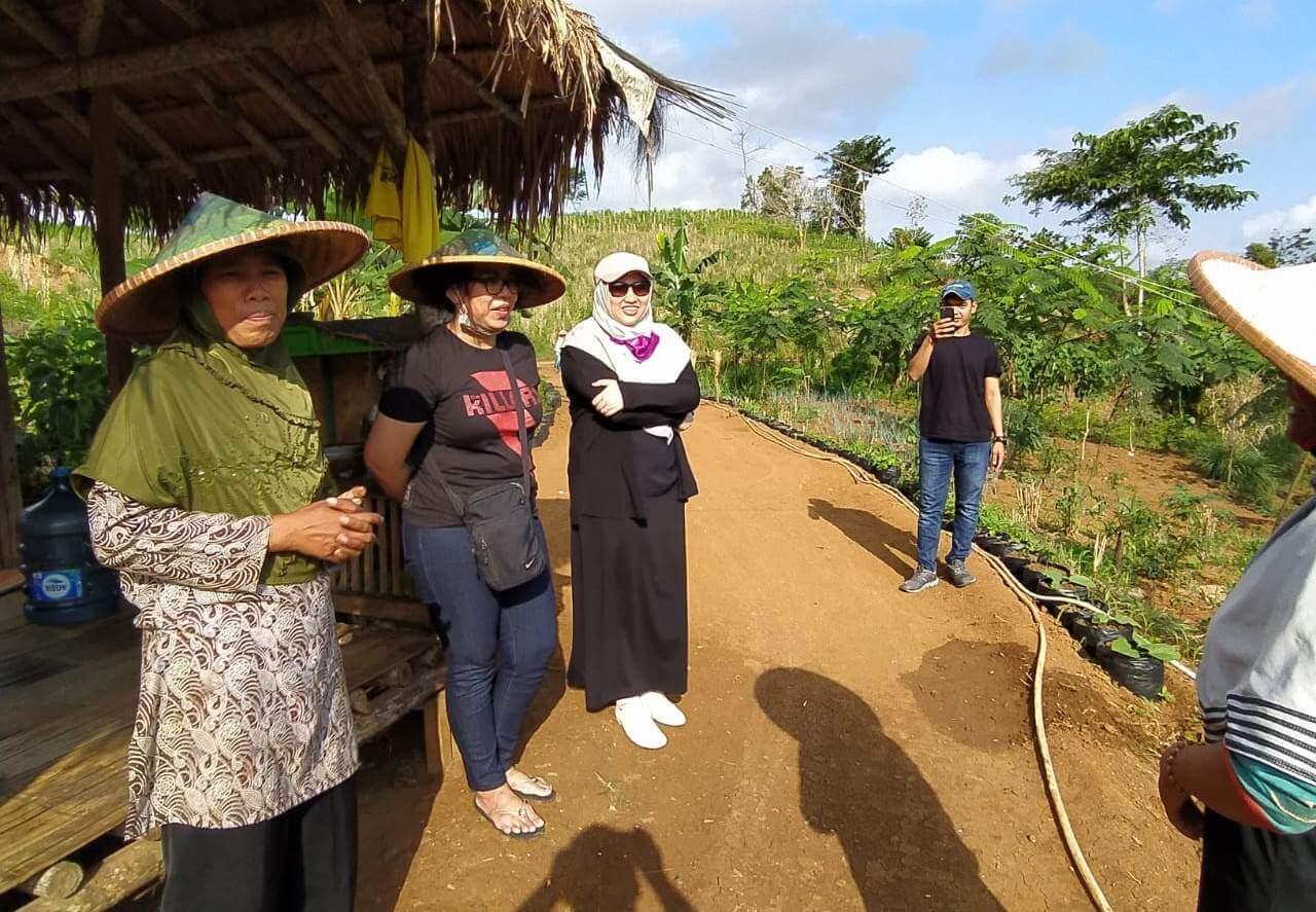 Desa Wisata Hanjeli Sukabumi Fokus Kembangkan Ketahanan Pangan - Berita ...