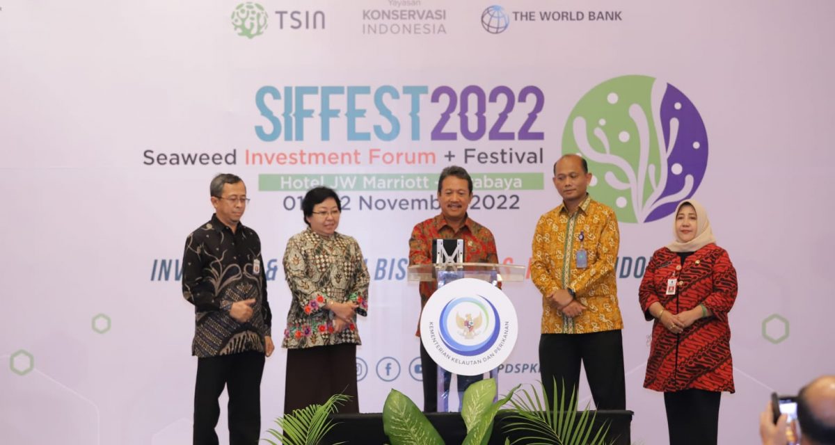 Tingkatkan Ekspor, KKP Ajak Investor Garap Potensi Rumput Laut Indonesia - Berita Daerah