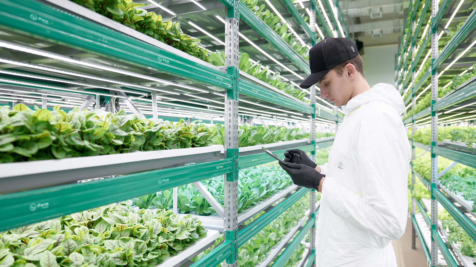 Iklim Investasi Global di Industri Teknologi Pertanian - Berita Daerah