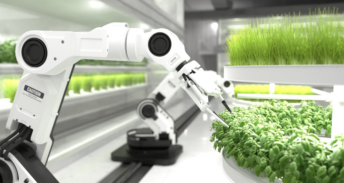 Mengapa Sopan Santun pada AI Penting bagi Indonesia - Berita Daerah