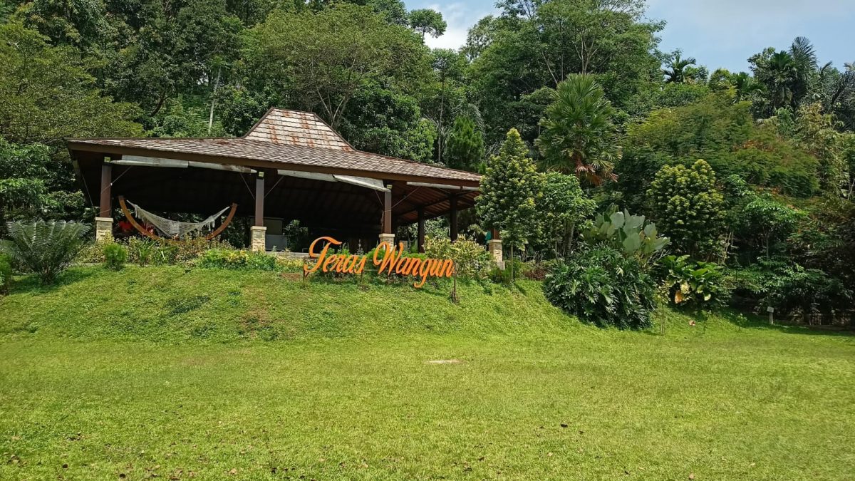 Menikmati Nuansa Alam dan Kuliner di Teras Wangun Sentul - Berita Daerah