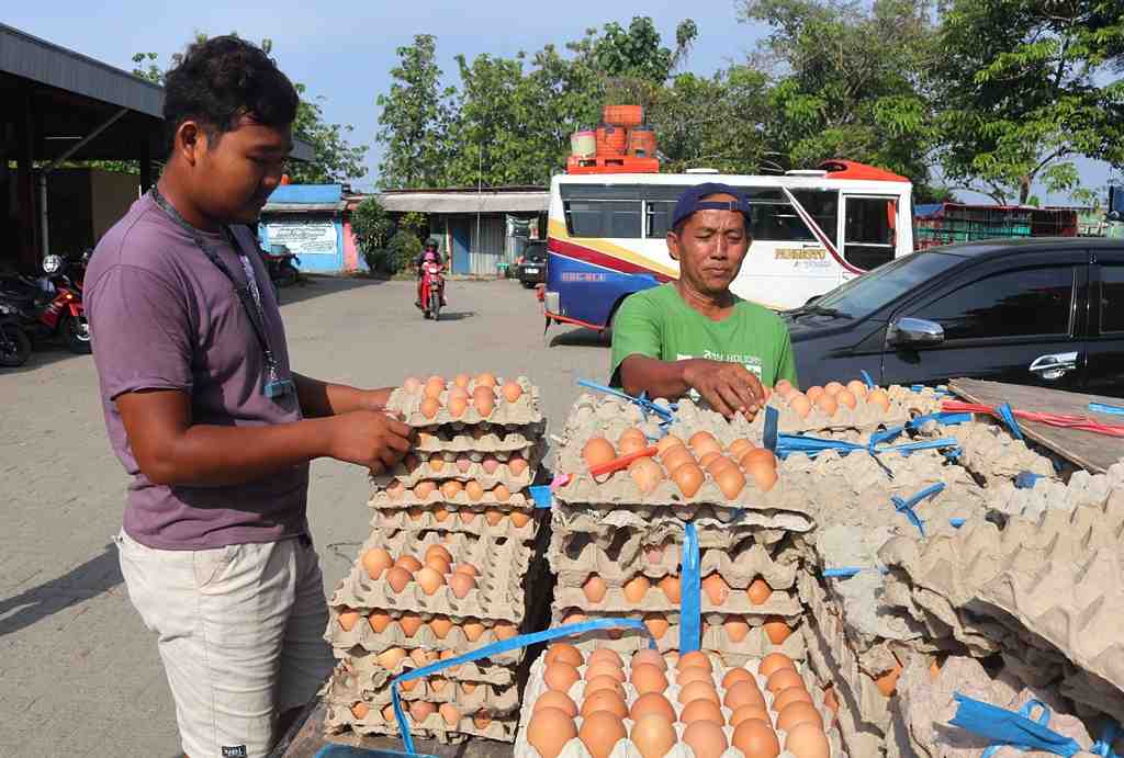 Penjual Telur Ayam di Pasar Tradisional Blora, Jawa Tengah - Berita Daerah