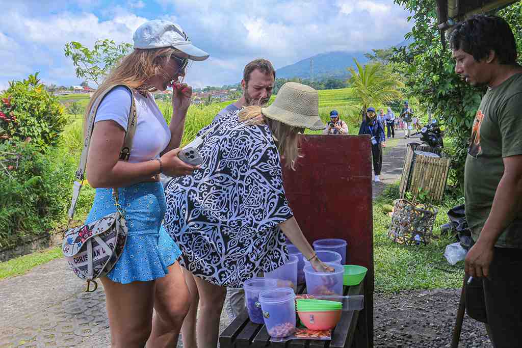 Wisman Berkunjung ke Desa Wisata Jatiluwih, Tabanan, Bali - Berita Daerah