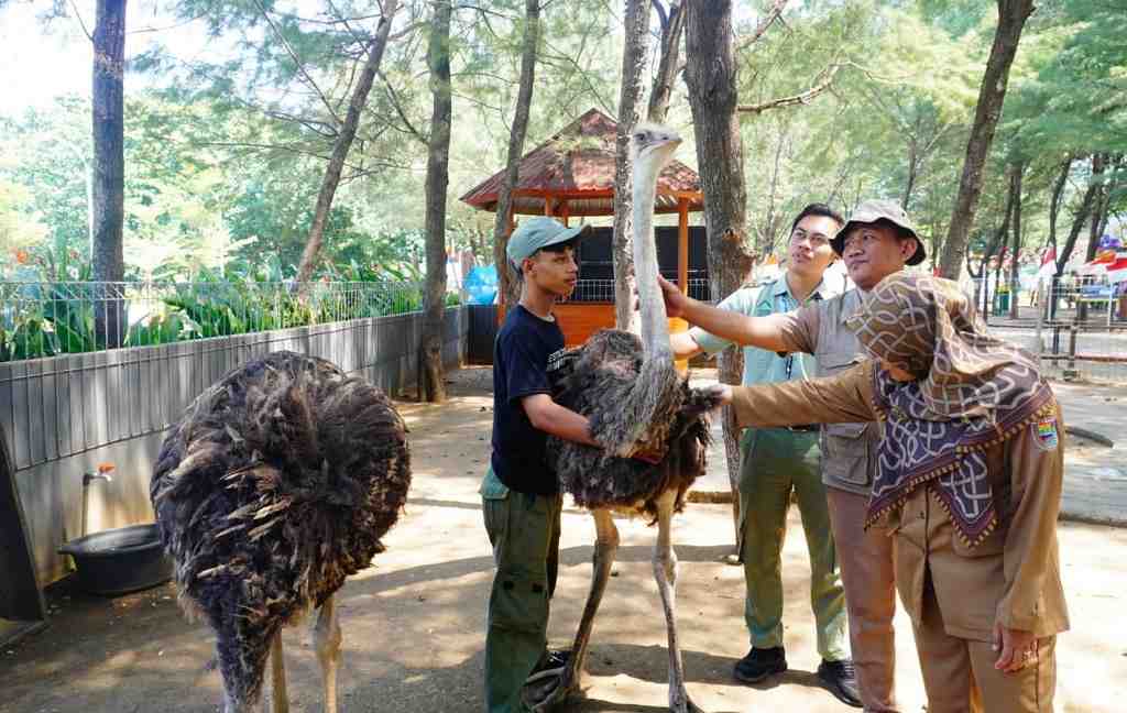 Pemeriksaan Kesehatan Satwa di Safari Beach Jateng Batang - Berita Daerah