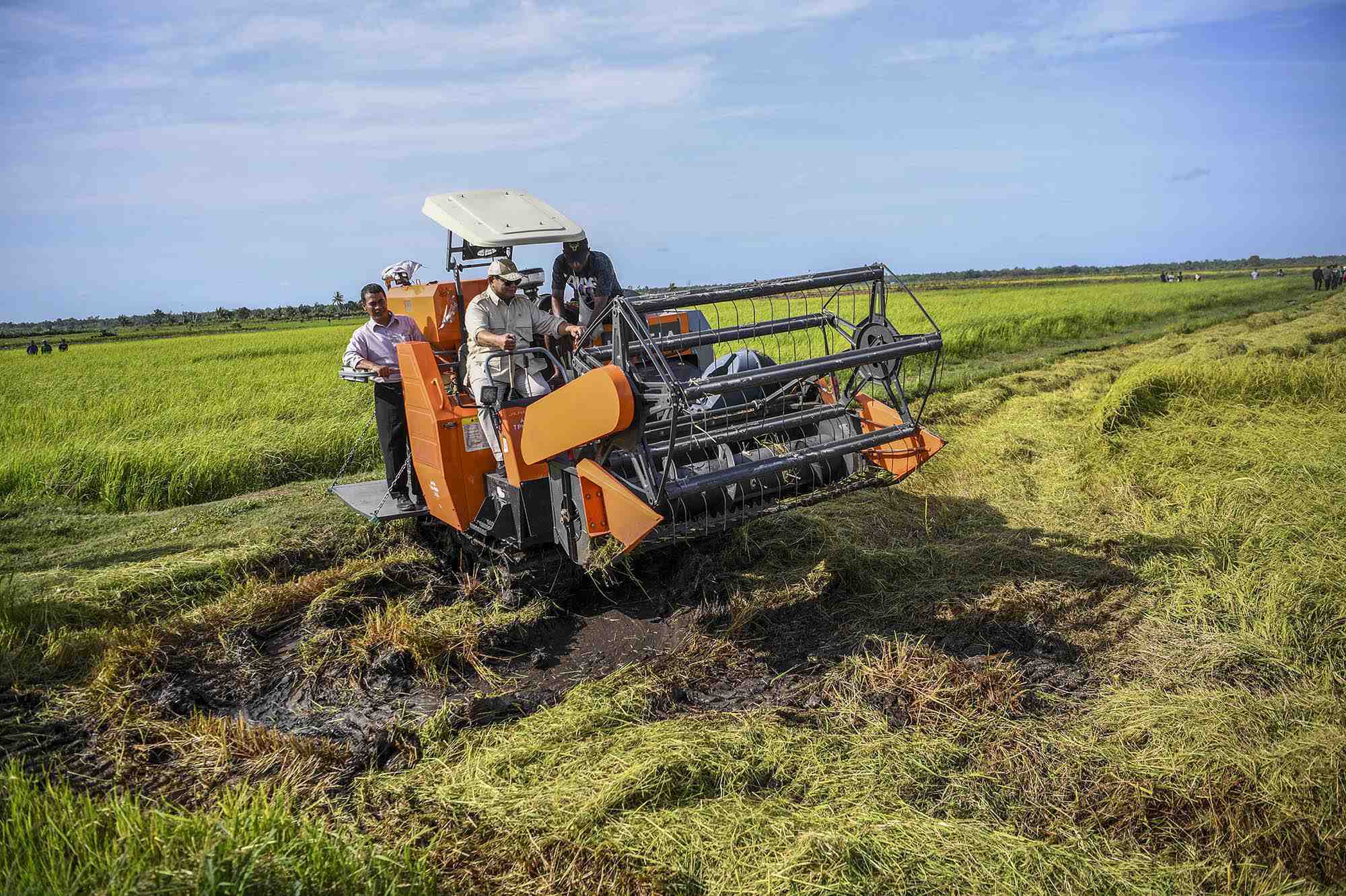 Bangun Lumbung Pangan di Kabupaten Merauke, Papua Selatan - Berita Daerah