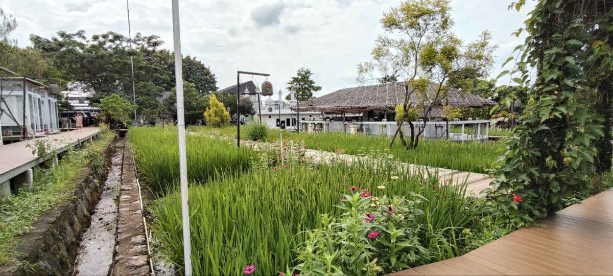 Menikmati Kuliner dengan Pemandangan Sawah di Resto D’Sawah Bogor ...